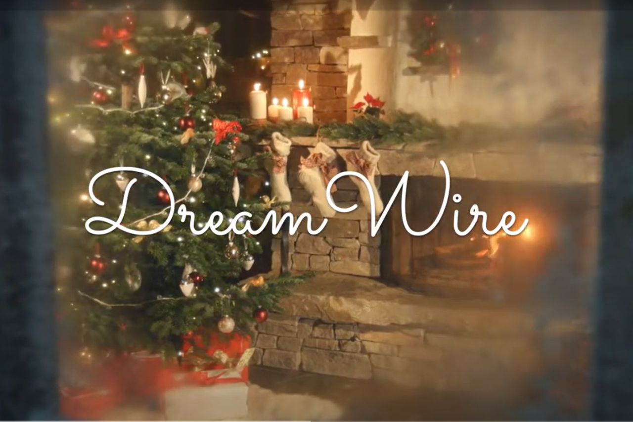 Dreams wire: a special wish - Bottaro Iron wire for presses ...
